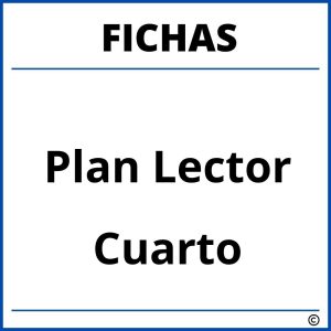 Fichas De Plan Lector Para Primer Grado