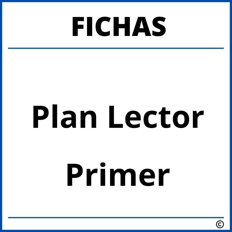 Fichas De Plan Lector Para Sexto Grado